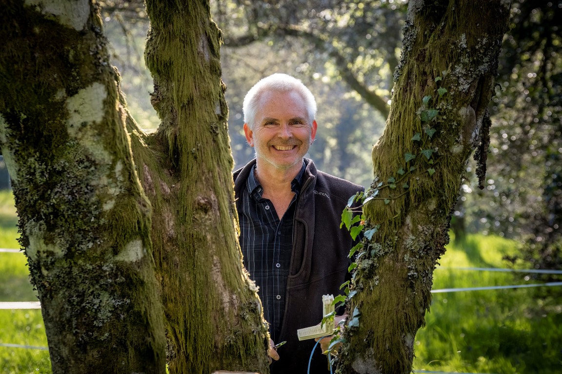 Photos JL Pillard :: Cheval-morvan