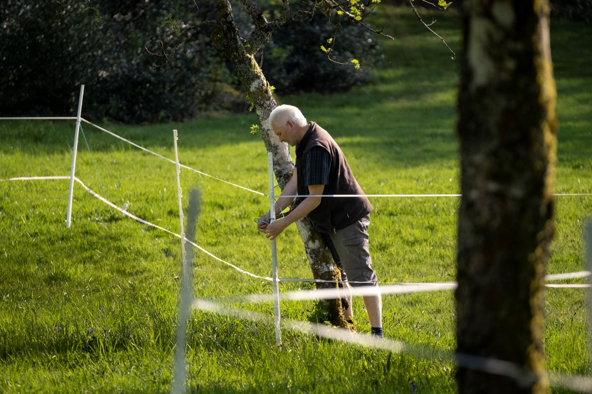 Photos JL Pillard :: Cheval-morvan