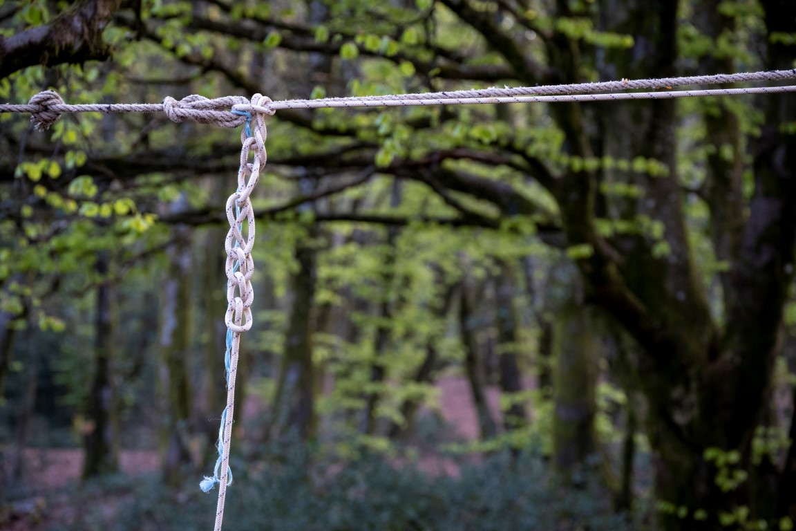 Photos JL Pillard :: Cheval-morvan