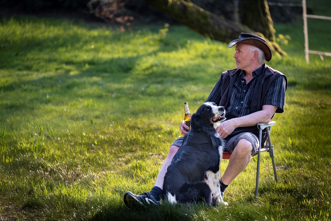 Photos JL Pillard :: Cheval-morvan
